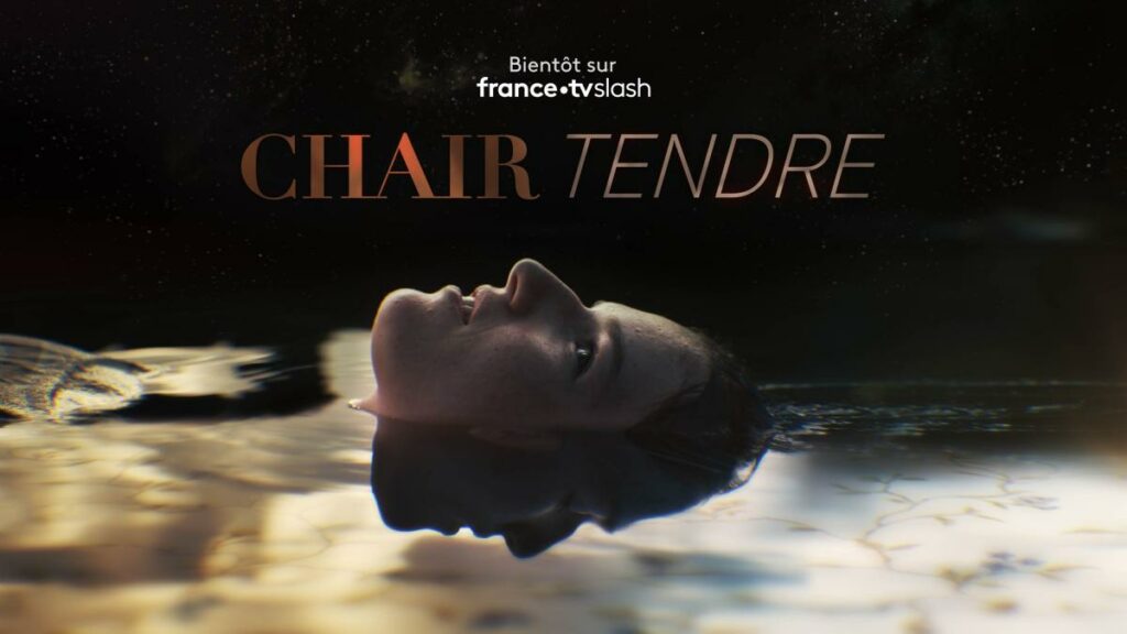 Chair Tendre - Saison 1 - Zone Streaming